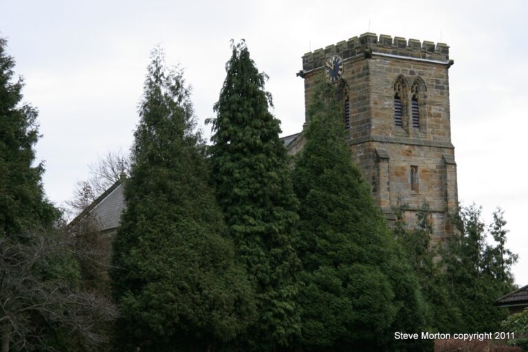 Pembury Arts and Crafts Show 2015 | Pembury Village